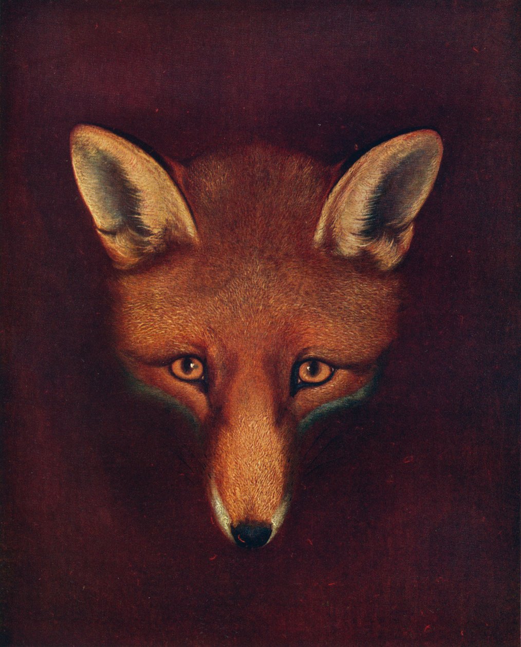 Renard the Fox by Philip Reinagle: Premium art reproduction