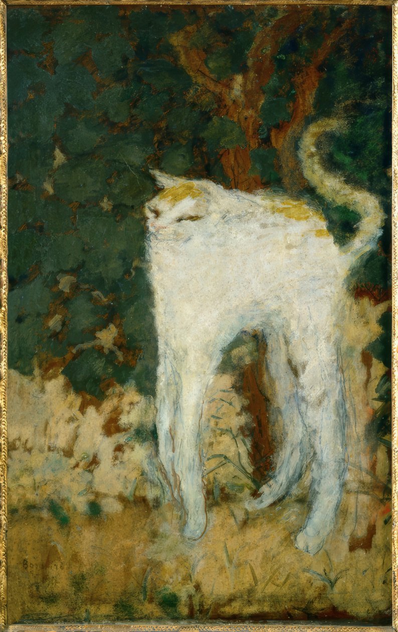 The White Cat by Pierre Bonnard: Buy fine art print