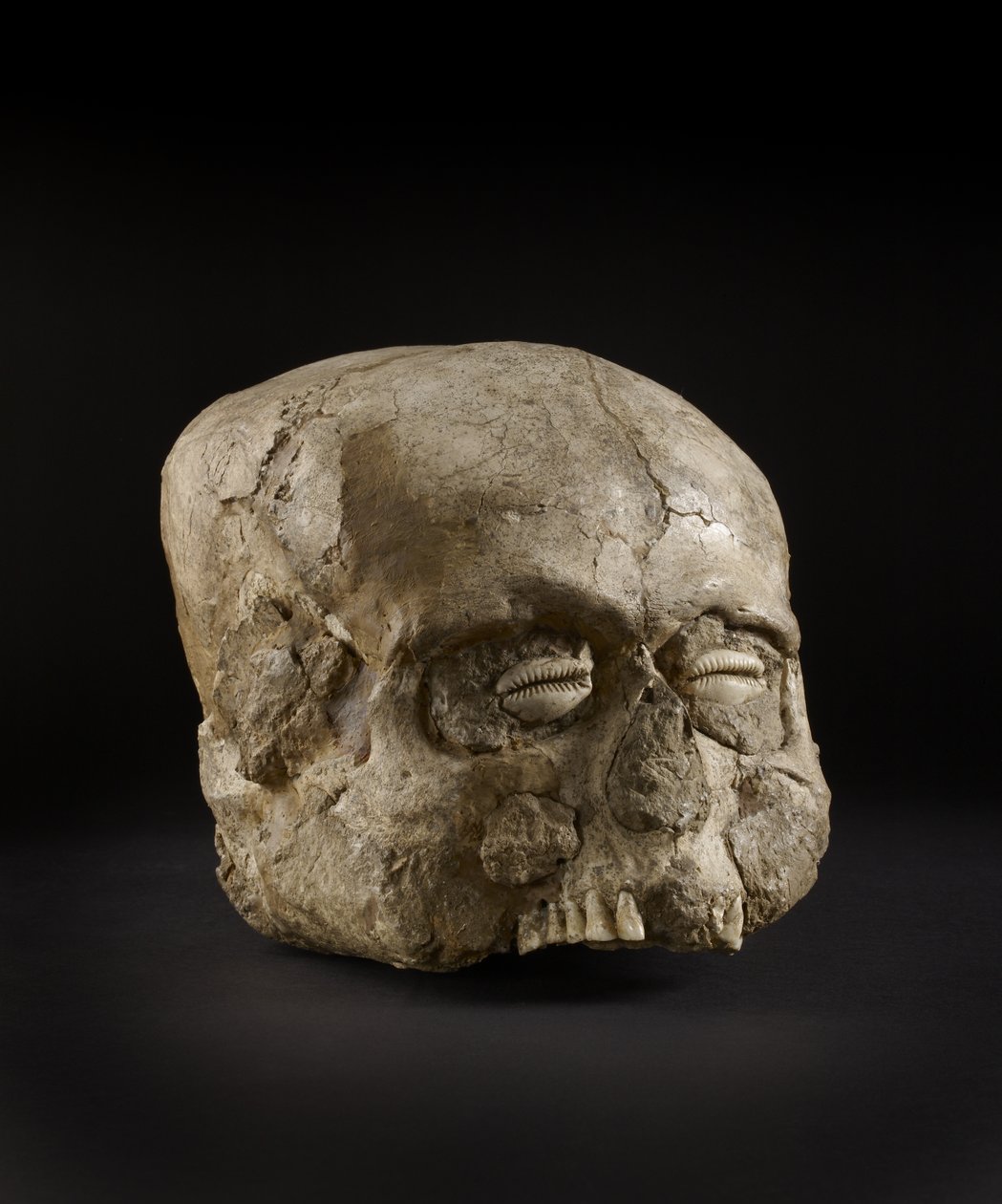 Portrait Skull with Cowrie Shell Eyes, Jericho, c.7th Millennium BC