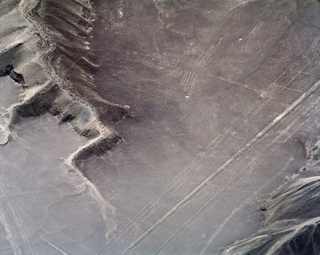 Aerial View Of A Hummingbird Nazca Lines