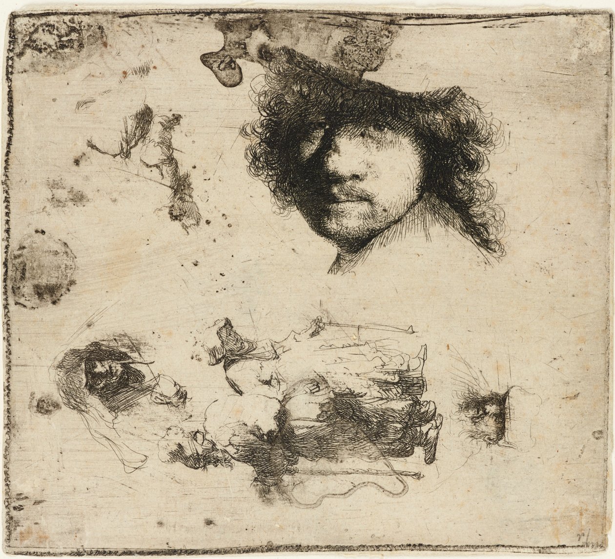 Sheet of studies by Rembrandt van Rijn: Buy fine art print