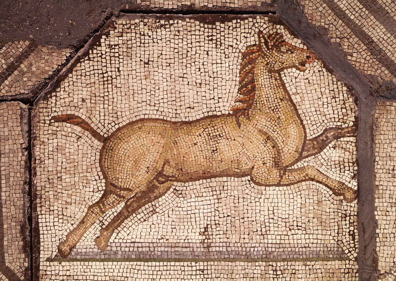A Horse (detail) from Orpheus Charming the Animals by Roman