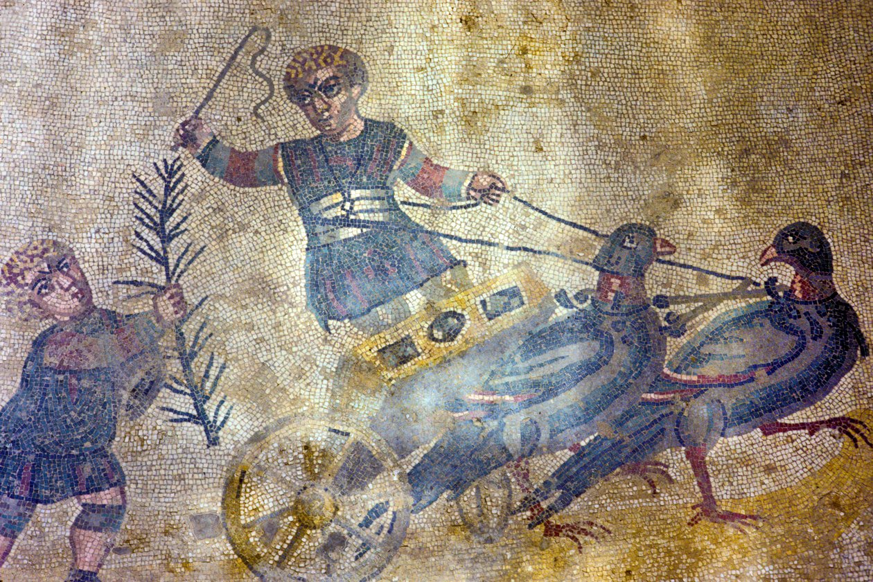 Bird Charioteer (mosaic) by Roman: Buy fine art print