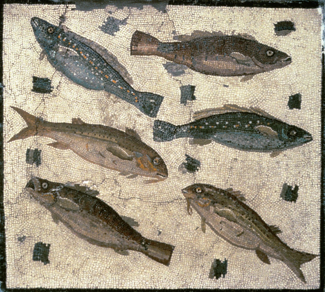 Fish by Roman: Highest-quality art reproduction