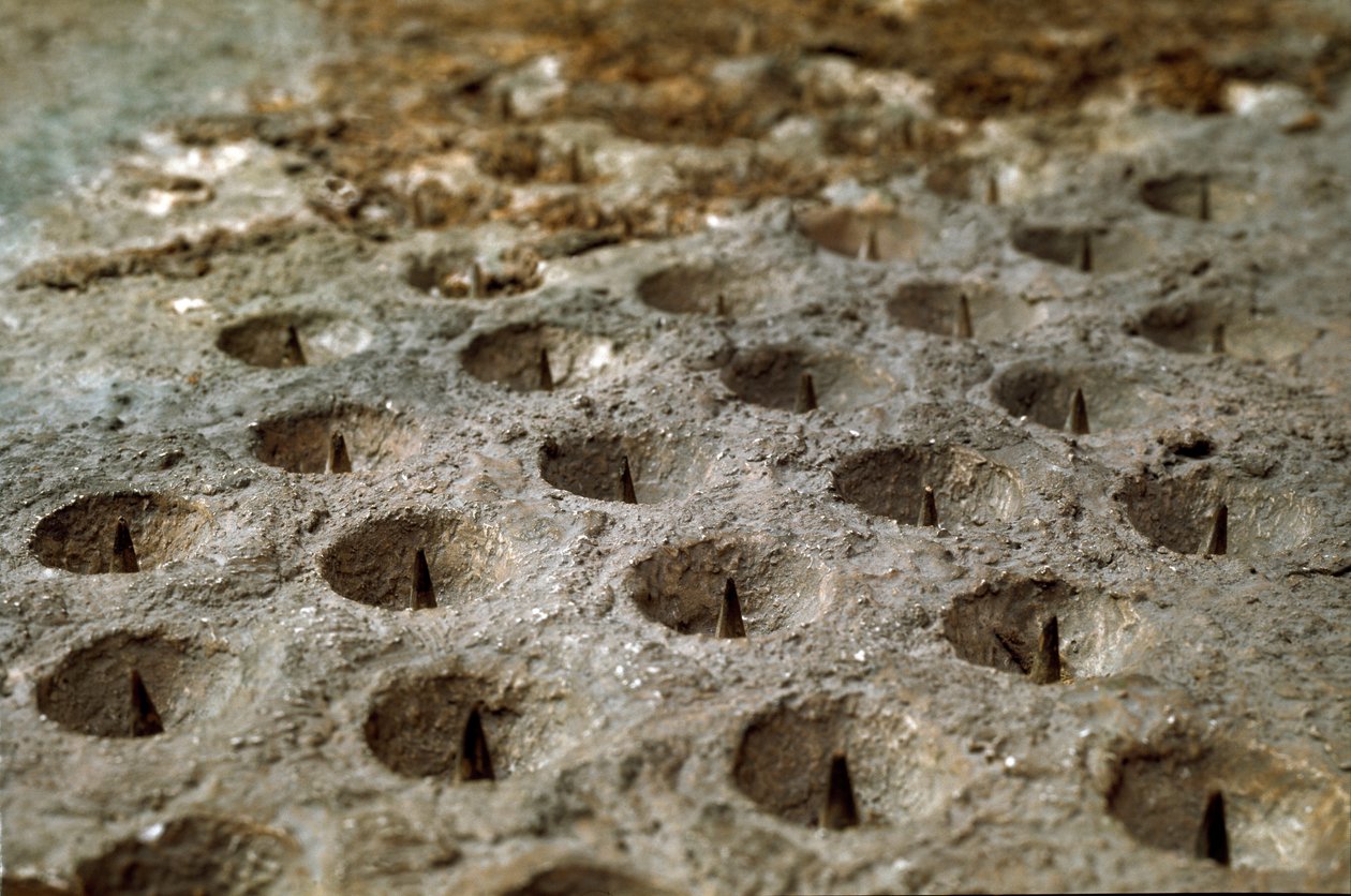 Siege and Battle of Alesia in September 52 BC (detail)