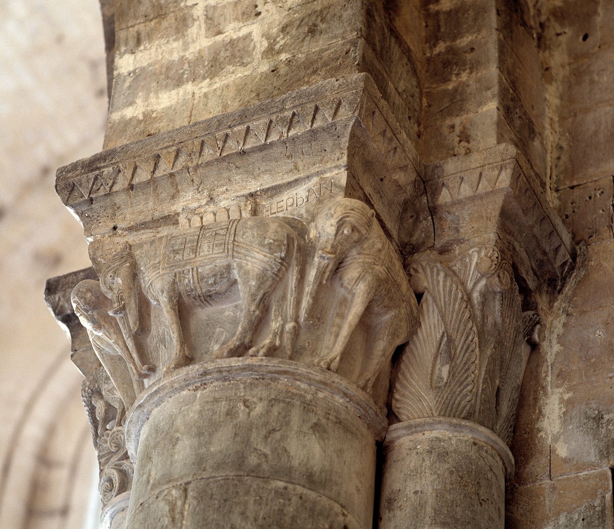 Elephants (carved capital of the nave) by Romanesque