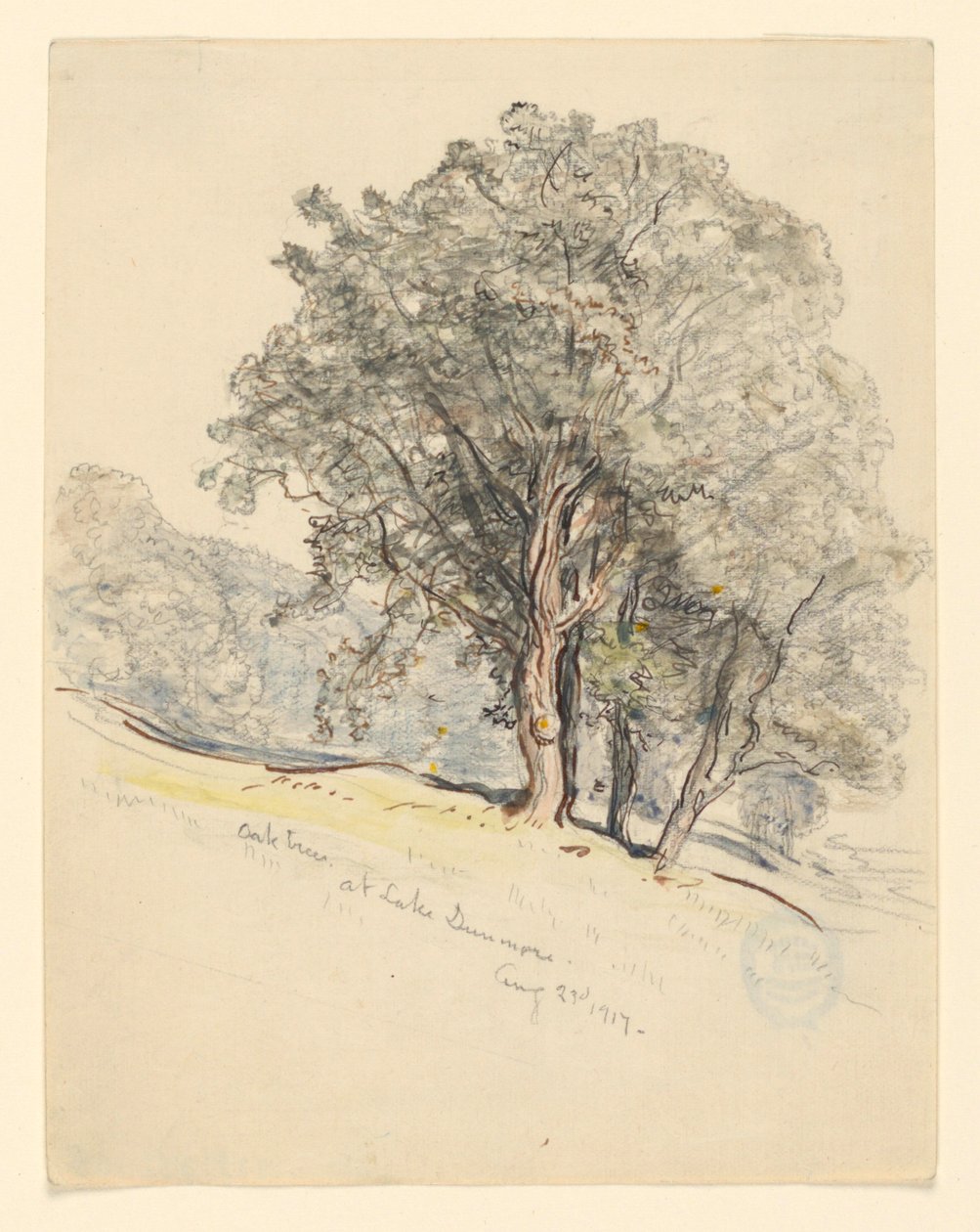 Study of Oak Trees at Lake Dunmore, Vermont by Samuel Colman