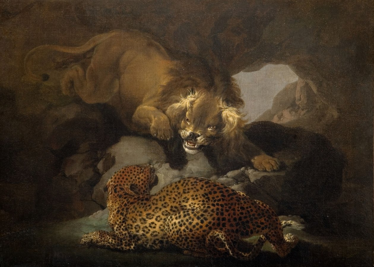 Lion and a Leopard by Samuel Howitt: Buy fine art print