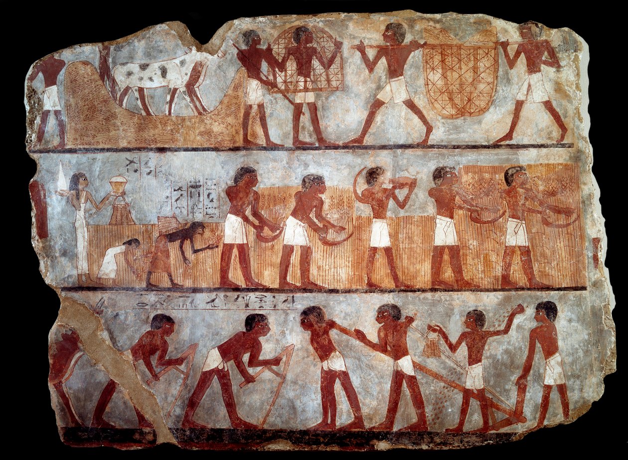 Ancient Egyptian Scribe School