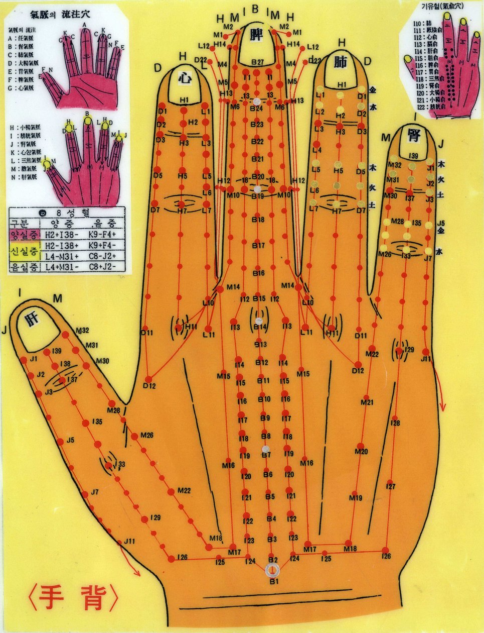 Korean acupuncture board by School Korean: Fine art print