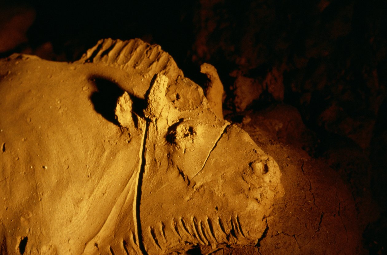 Detail of a bison shaped from clay approximately 14,000 years ago from ...