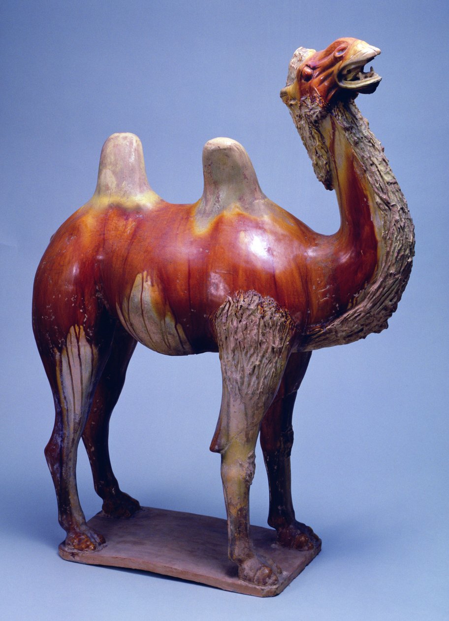 Camel by Tang Dynasty Chinese School: Buy fine art prints