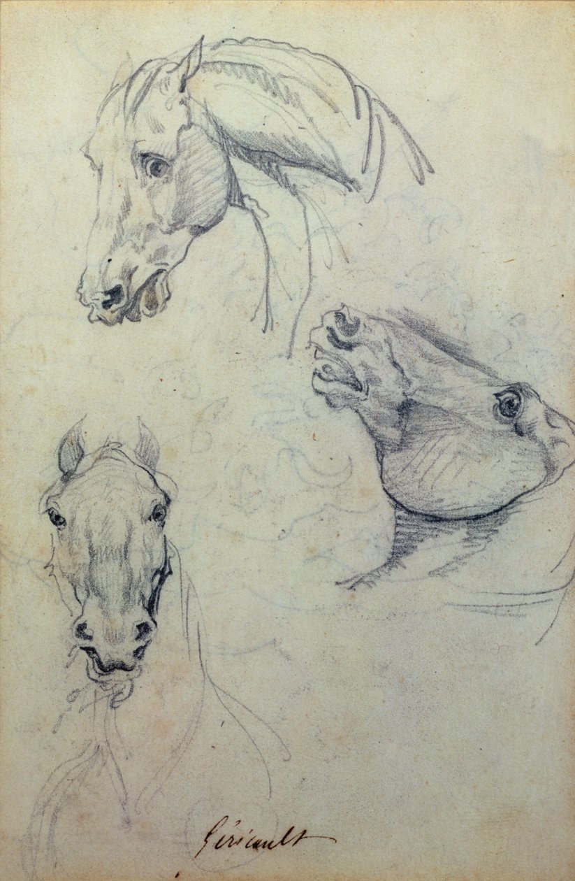 Three Horses' Heads by Theodore Gericault: Fine art print