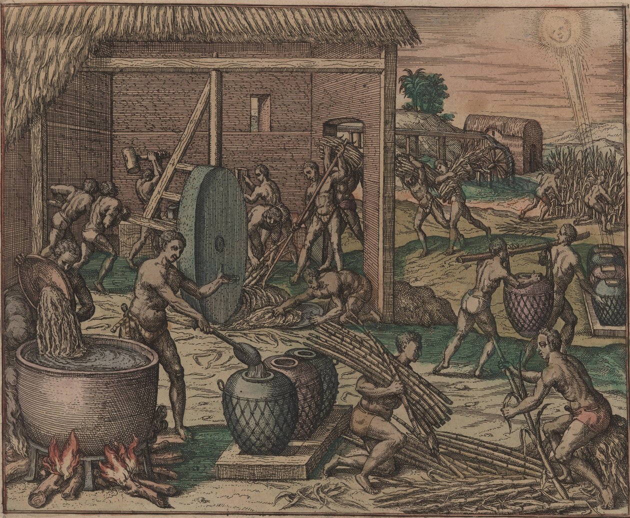 Slaves process sugar cane and make sugar by Theodore de Bry