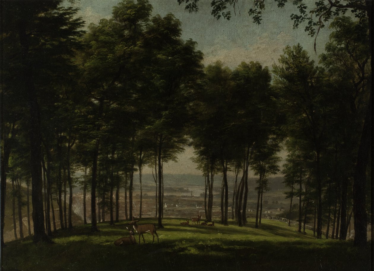 Mount Storm Park, Cincinnati, 1840