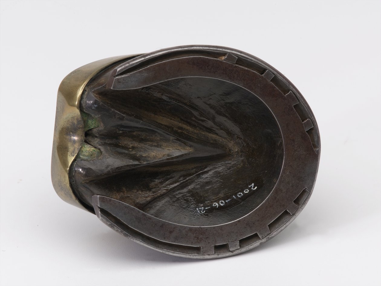 Horse's Hoof Inkwell Belonging to Captain William Tyrwhitt Drake, Royal ...