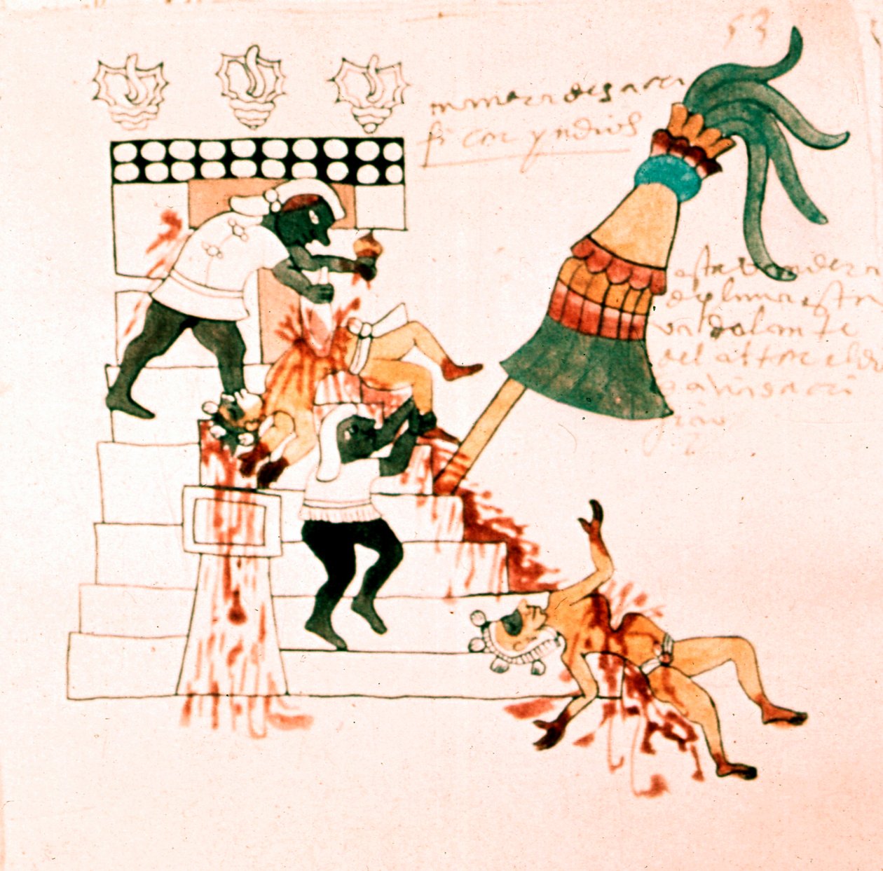 Aztec Sacrifice Drawing