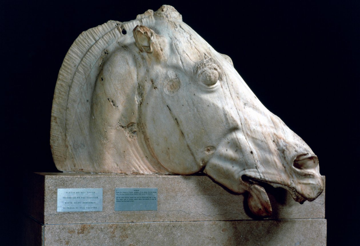 Head of a Horse from the Chariot of Selene from the East Pediment of ...