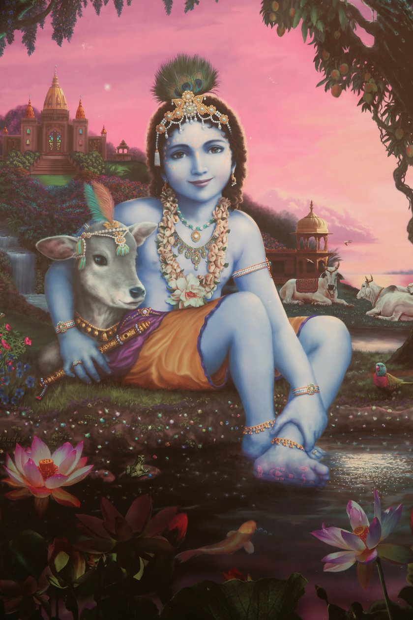 Hindu Gods Krishna Krishna Lord Krishna Sri Krishna Jai Shree