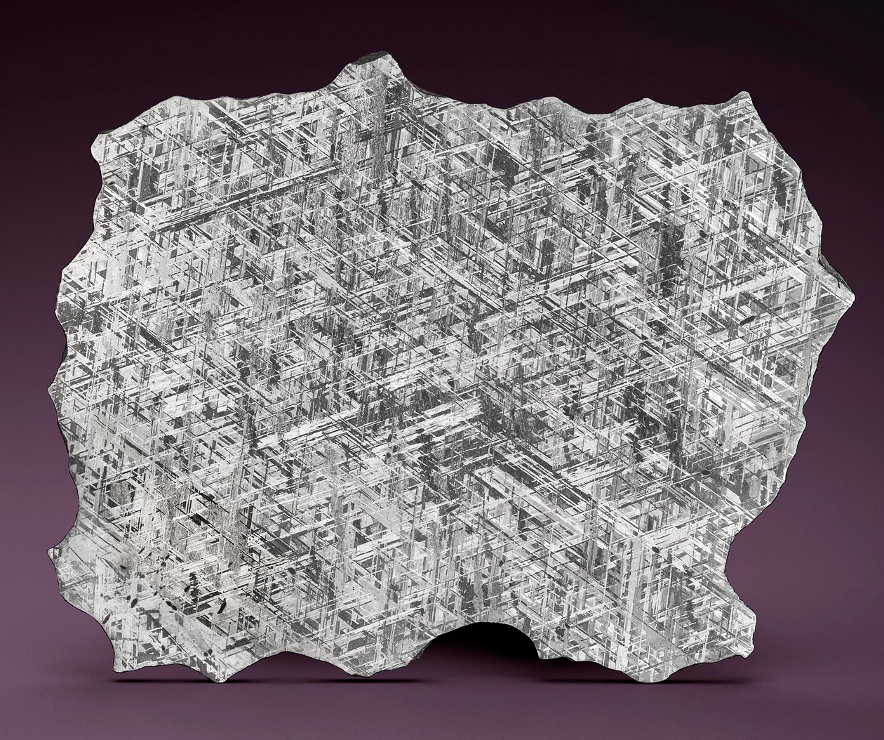 A large Gibeon meteorite slice, Gibeon, Great Nama Land, Namibia