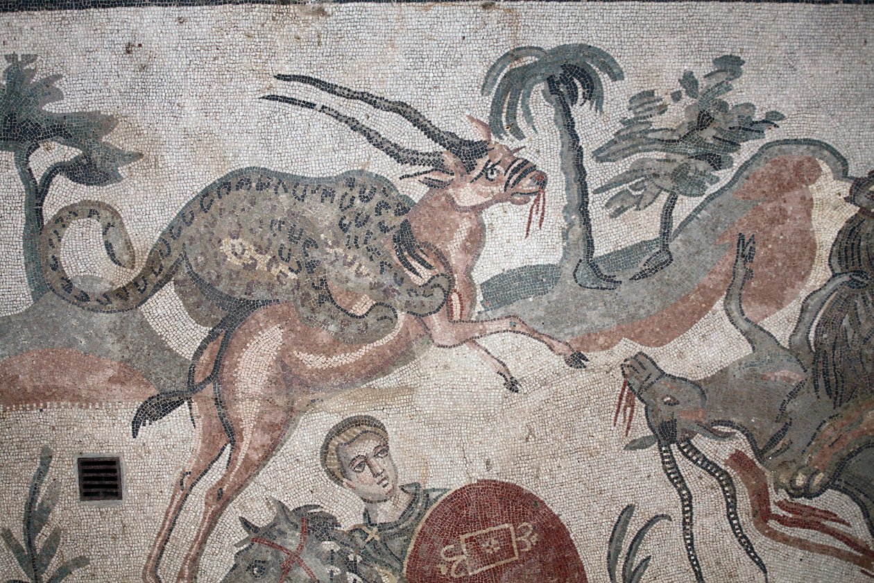 Detail of the great hunt mosaic. A leopard attacking a gazelle. 3rd ...
