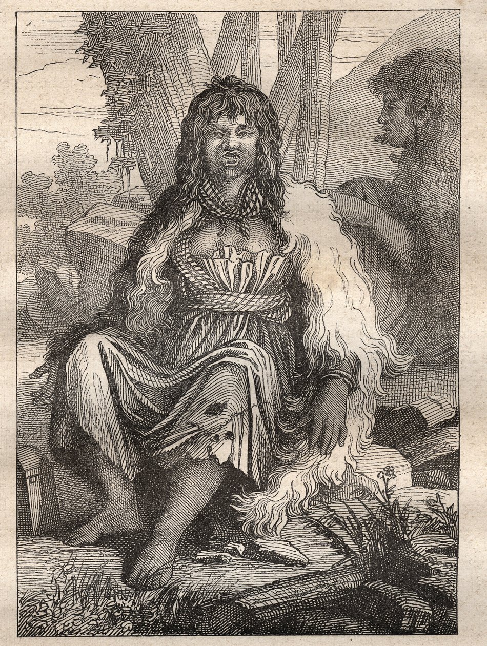 Expedition around the world (1785-1788) by Jean Francois Galaup de La ...