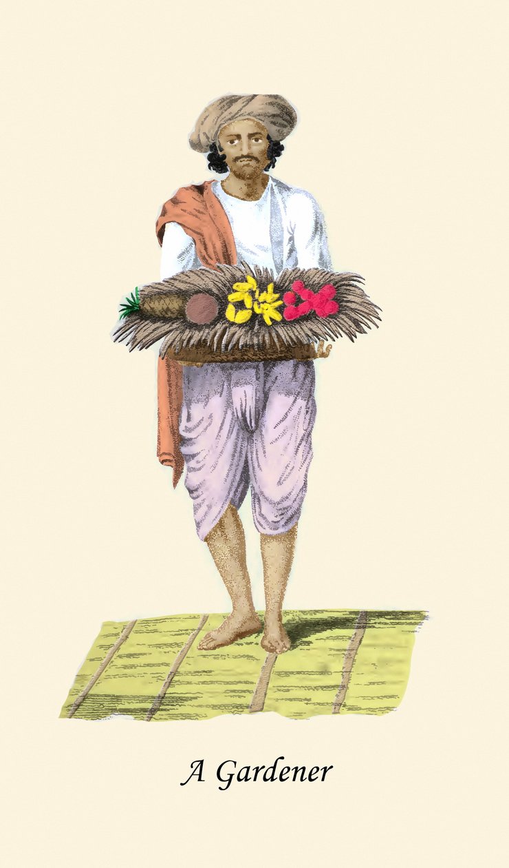Gardener by Unknown Artist: Highest-quality art reproduction