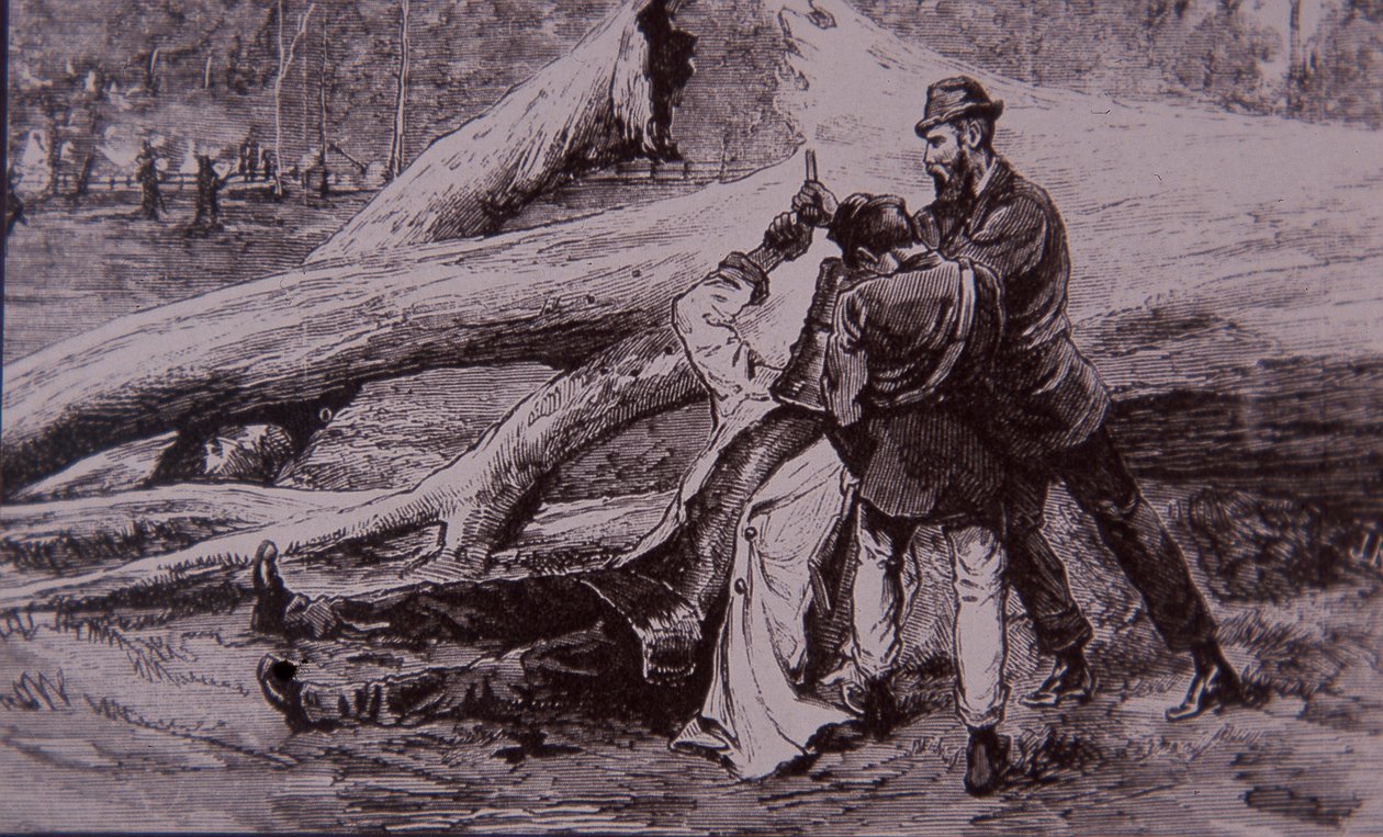 Ned Kelly Captured by Police Constable Kelly and Railwayman Jesse ...