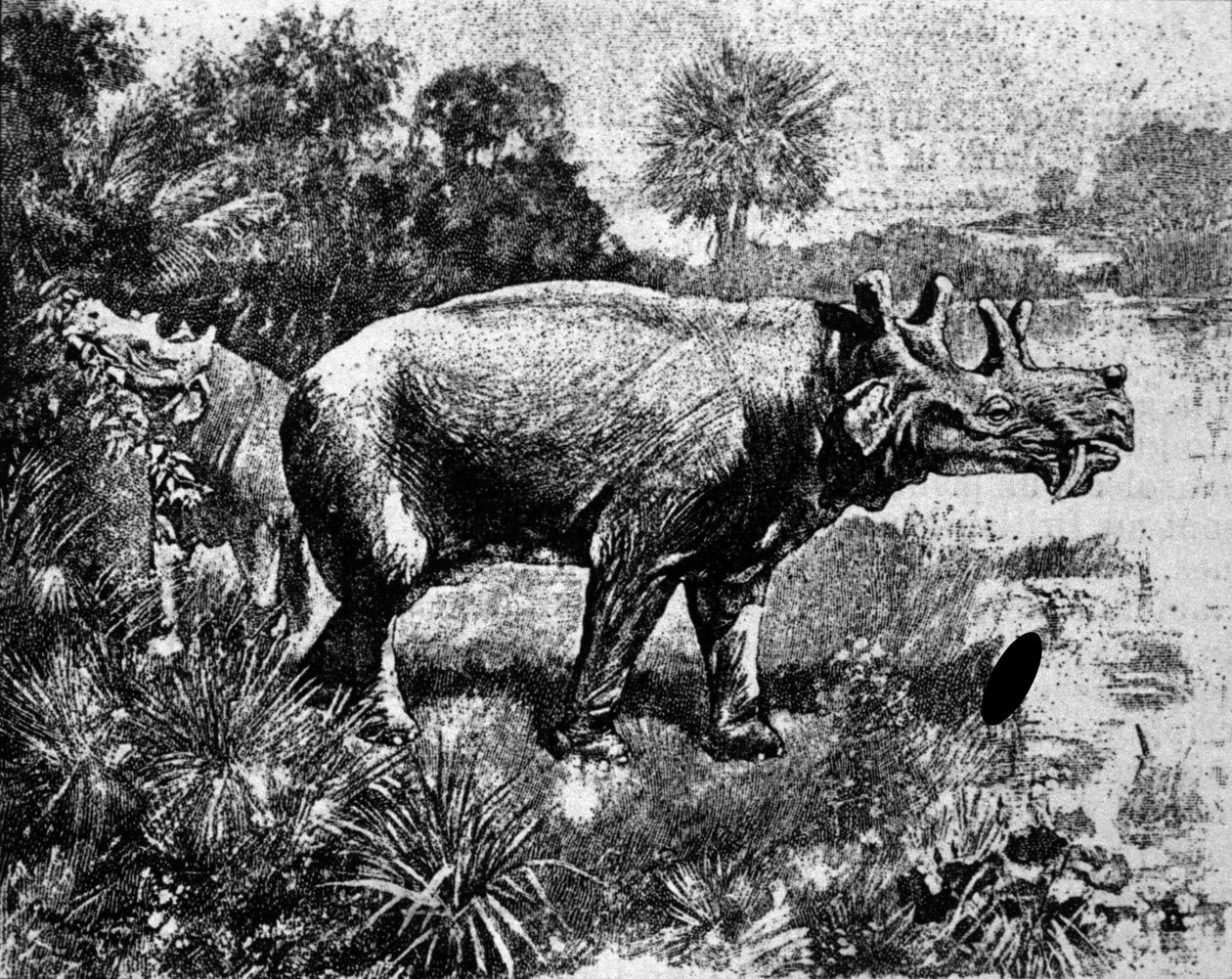 Prehistory: representation of a four-horned Uintatherium dinosaur