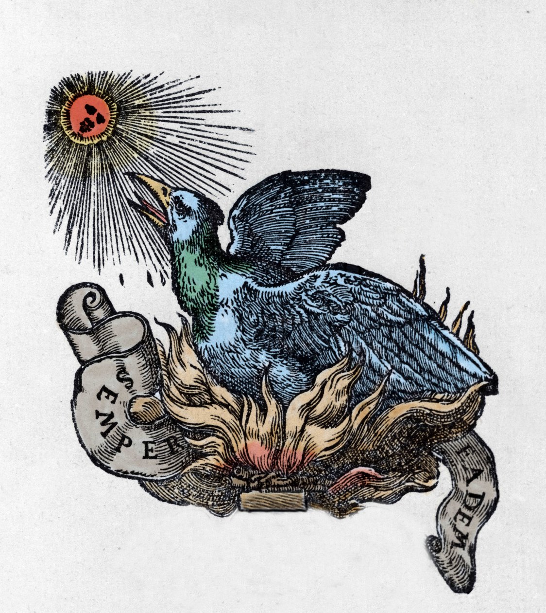 Representation of a Phoenix, Legendary Bird Reborn from Its Ashes ...