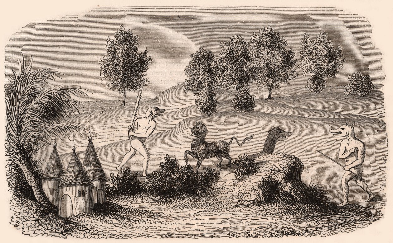 Representation of medieval tribes and animal species: two Cynocephalus ...