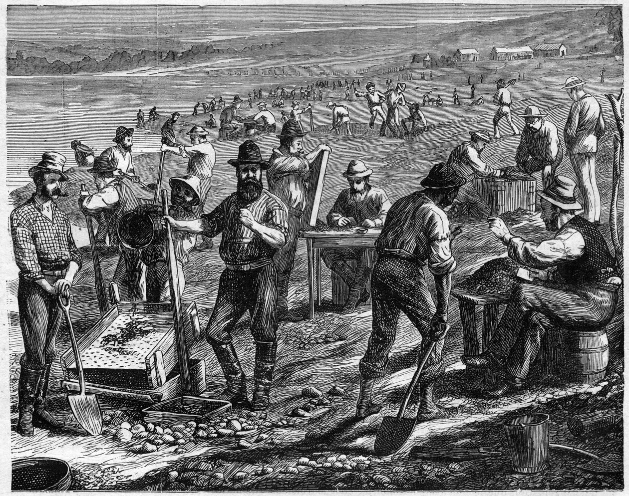 The Diamond Fields at the Cape - Washing for Diamonds in South Africa ...