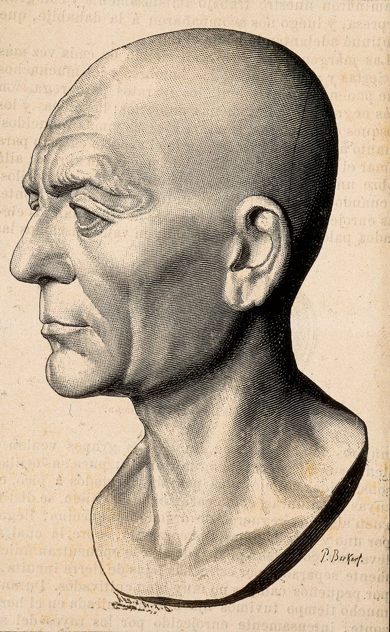 Portrait of Publius Cornelius Scipio Africanus, Roman statesman (235 ...