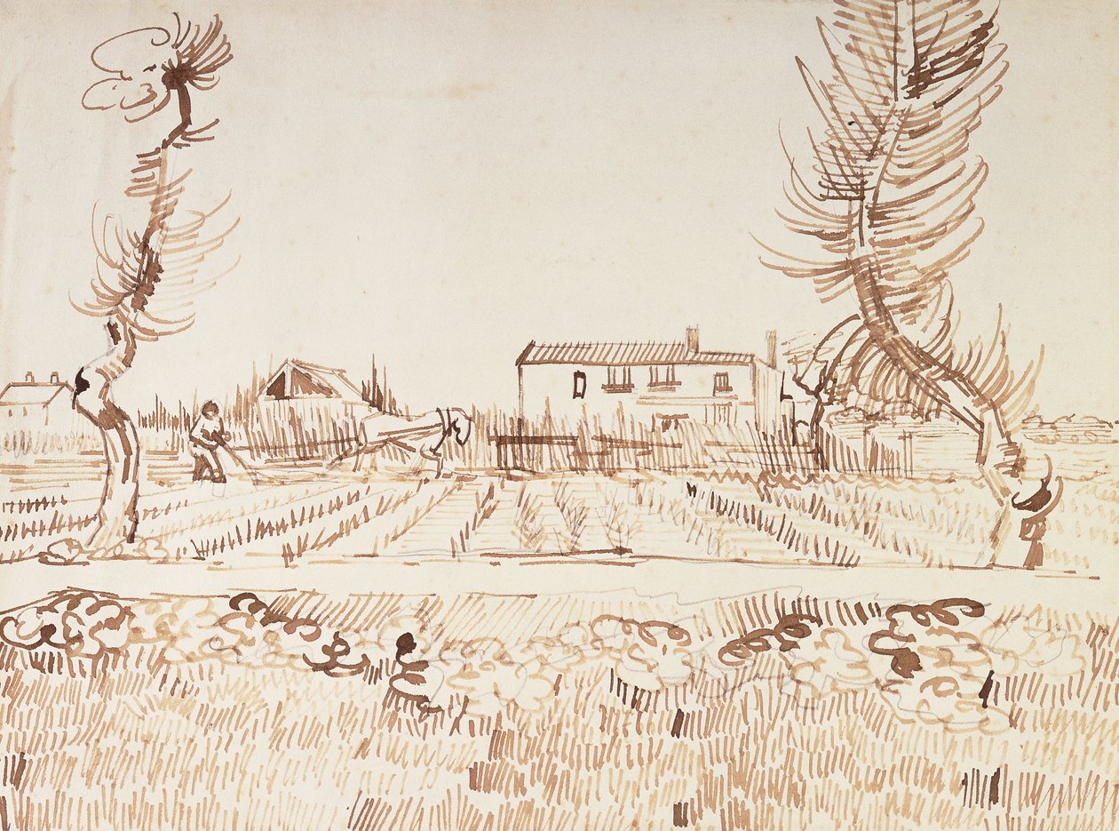 Working the Fields at Arles by Vincent van Gogh