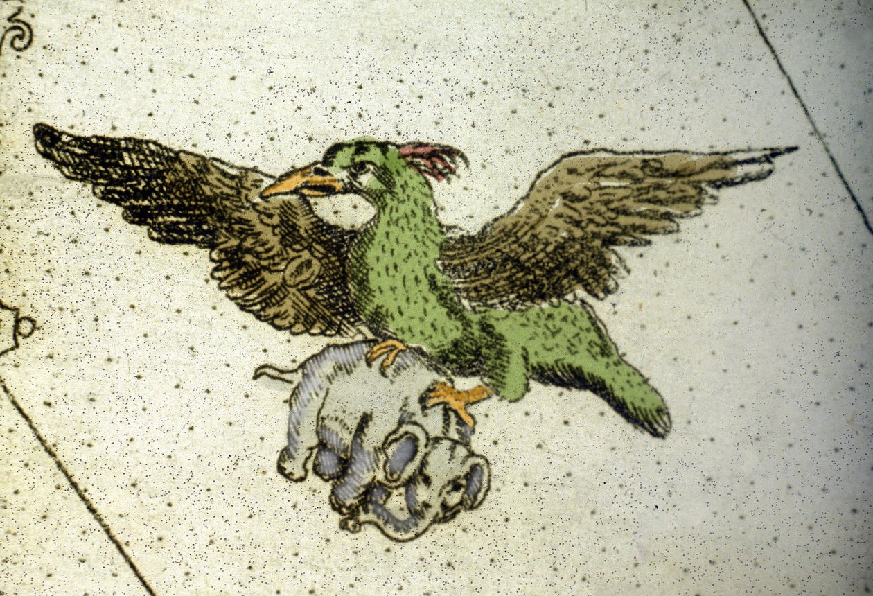The Giant Bird Rok Carrying an Elephant, detail of a world map by ...