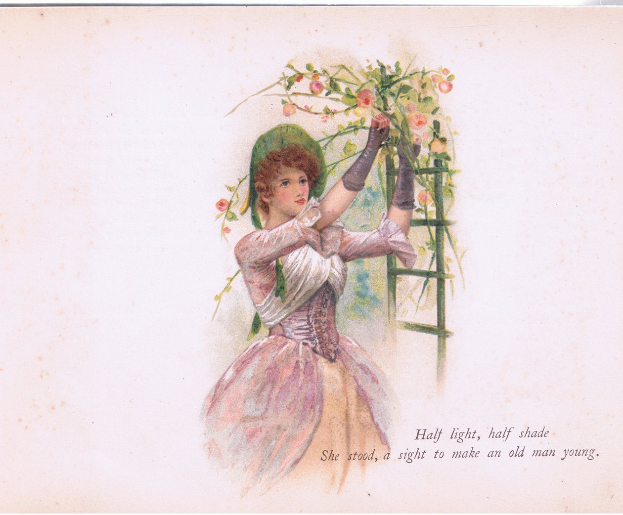 Half light, half shade, illustration from Tennyson Pictures