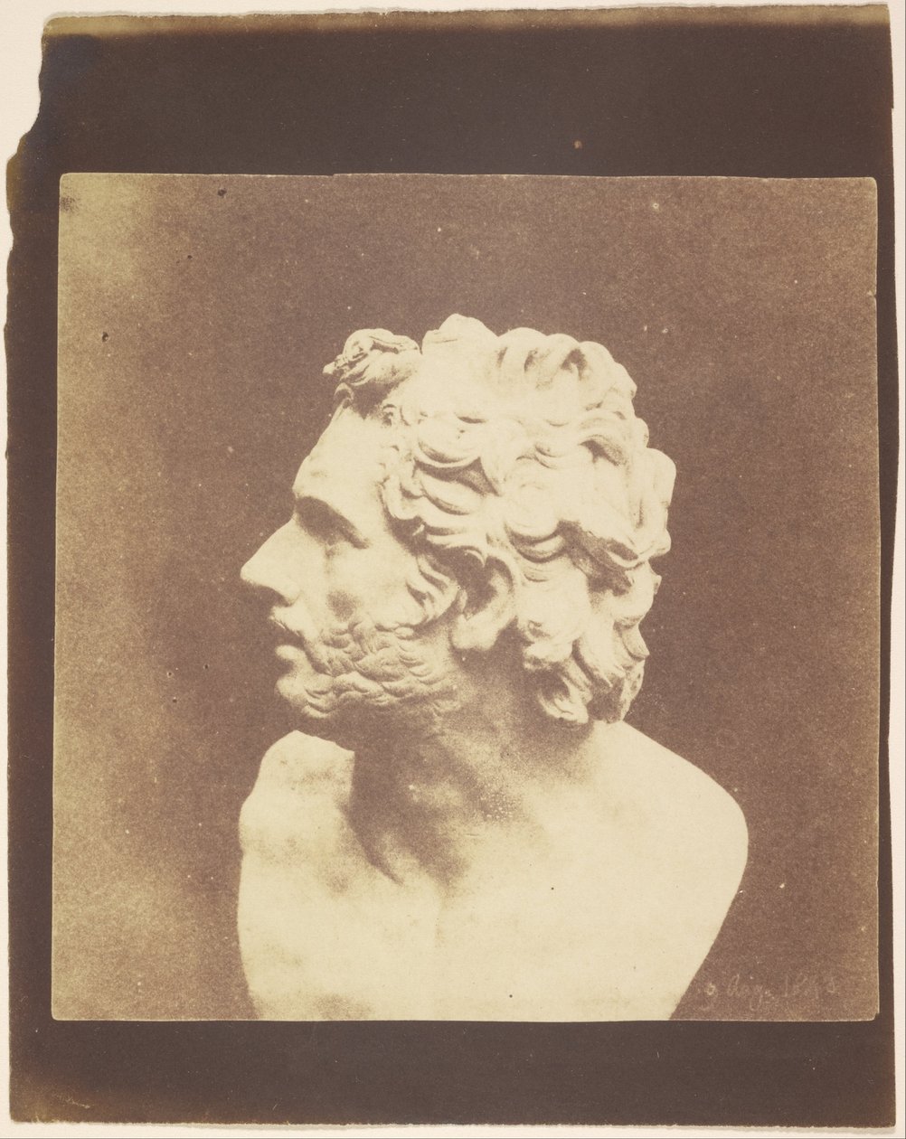 Bust of Patroclus by William Henry Fox Talbot