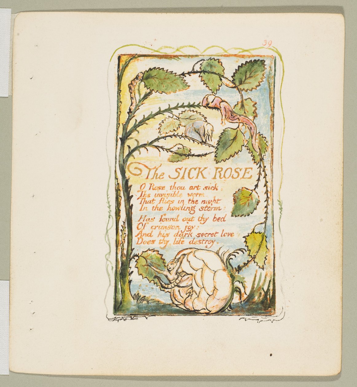 Songs of Innocence and of Experience: The Sick Rose
