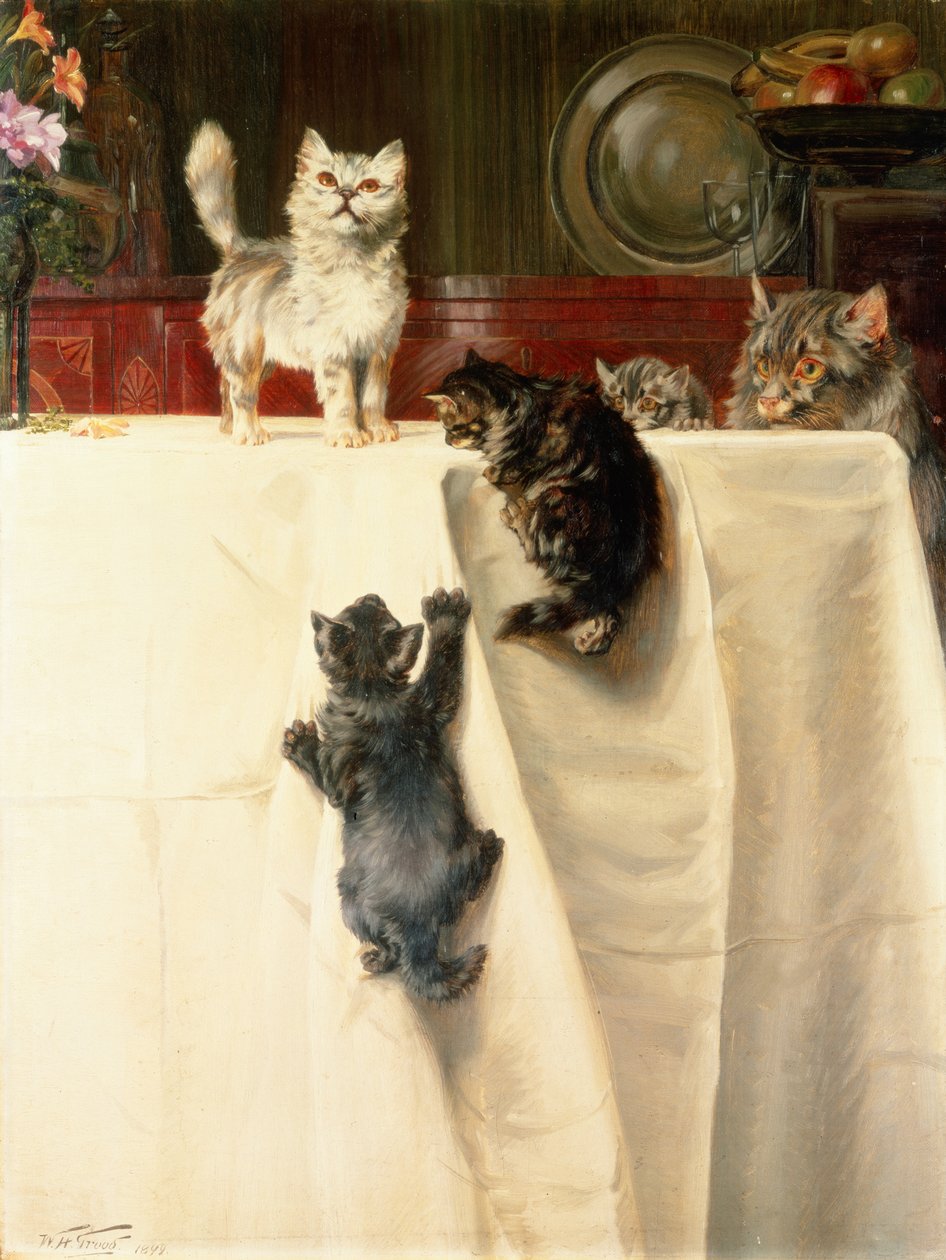 Cats by William Henry Hamilton Trood: Buy fine art print