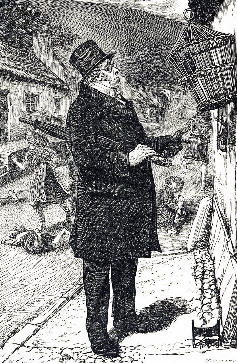 Cartoon depicting a top-hatted man outraged by a pet starling ...