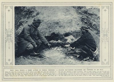 World War 1 Trenches Rats