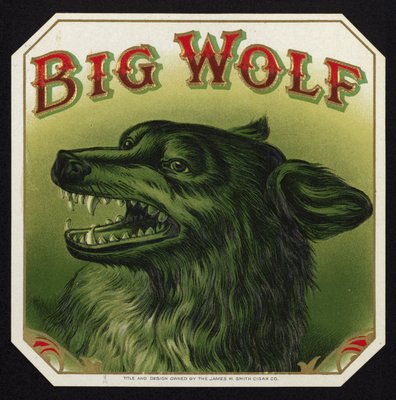 Black Wolf Baring Teeth by American School: Fine art print