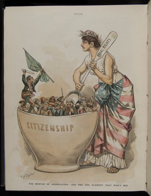 Assimilation Cartoon