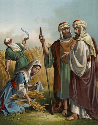 ruth gleaning.coloring page.html.html.html.html.html.html.html.html.html.html.html.html.html.html.html.html.html.html.html.html.html.html.html.html