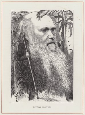 Charles Darwin Natural Selection