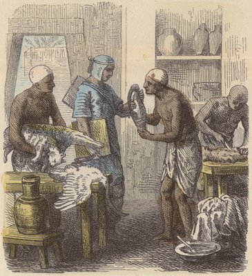 Embalming of animals in Ancient Egypt by German School