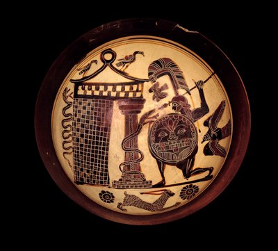 Apollo Fighting Python