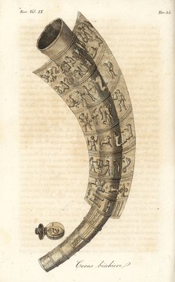 Italian Horn Drawing
