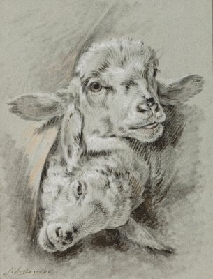 Two Sheep Drawing