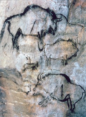 Bison Cave Drawing